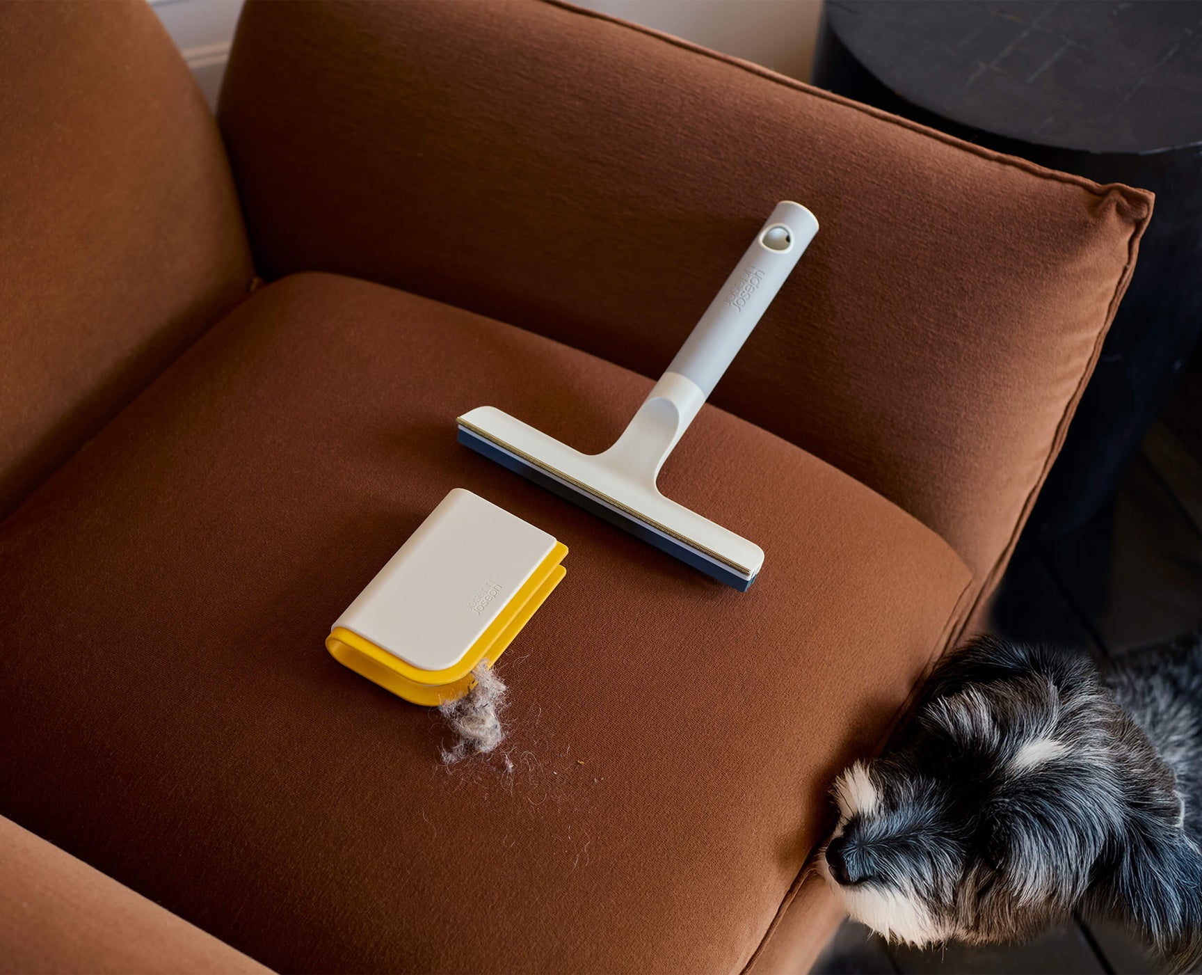 CleanTech™ Carpet and Pet Hair Cleaning Kit | Joseph Joseph UK