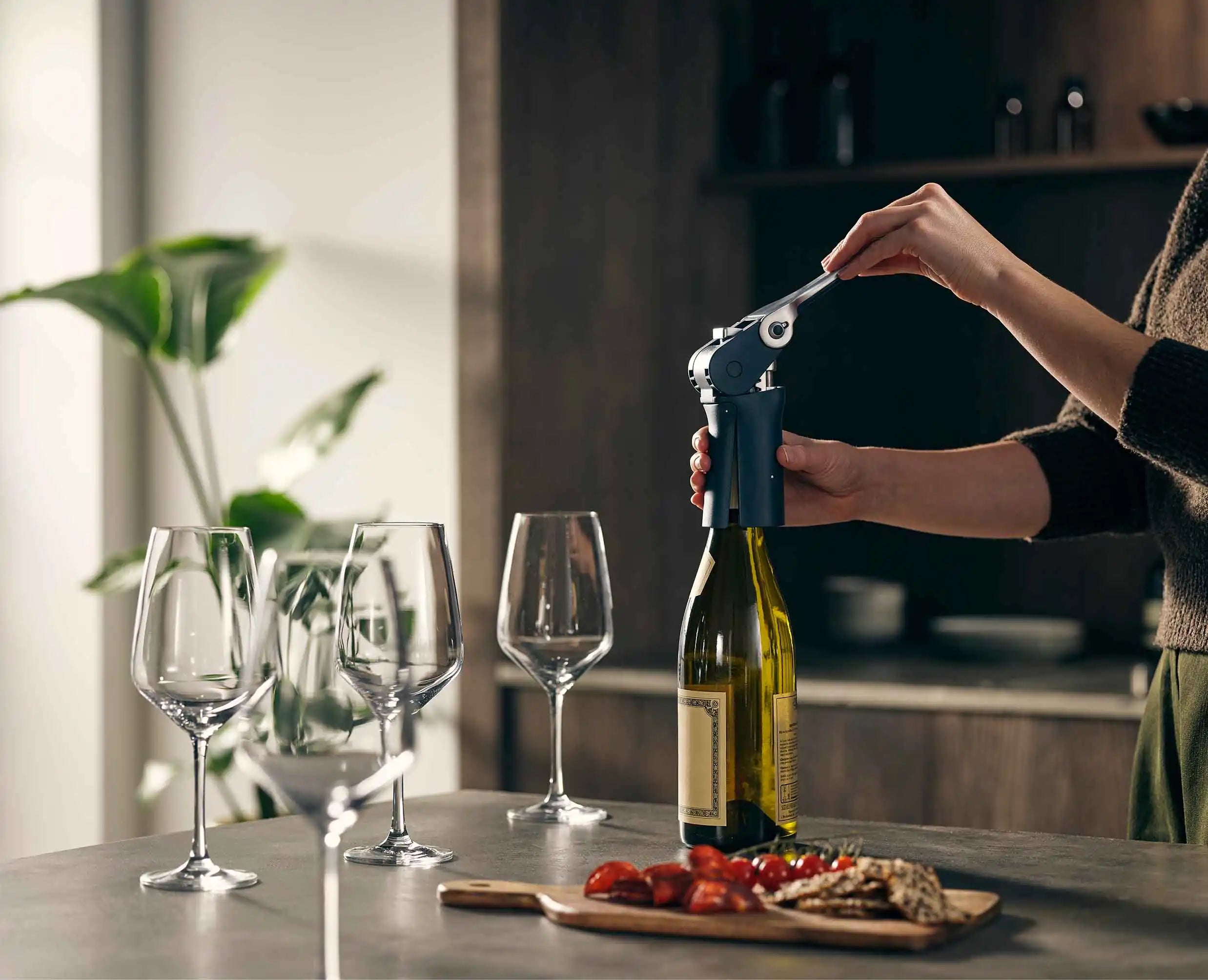 BarWise™ Compact Lever Corkscrew | Joseph Joseph UK